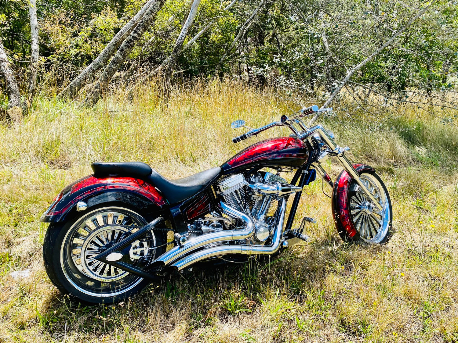 Photo by jasonlang - Shannons Club