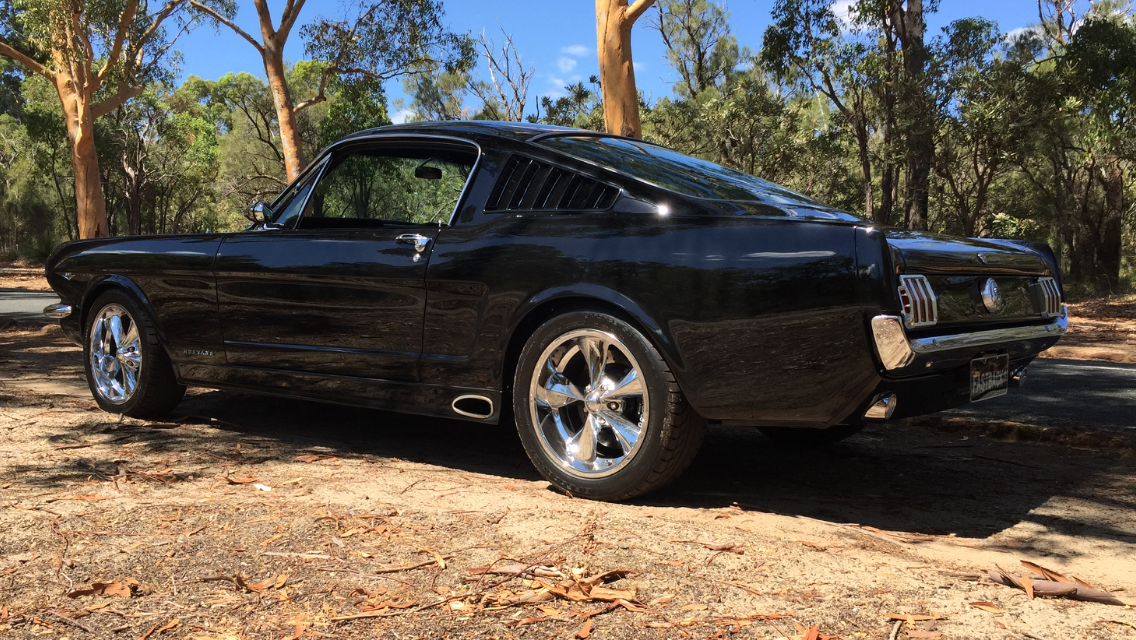 1966 Ford Fastback - mustangcow1 - Shannons Club