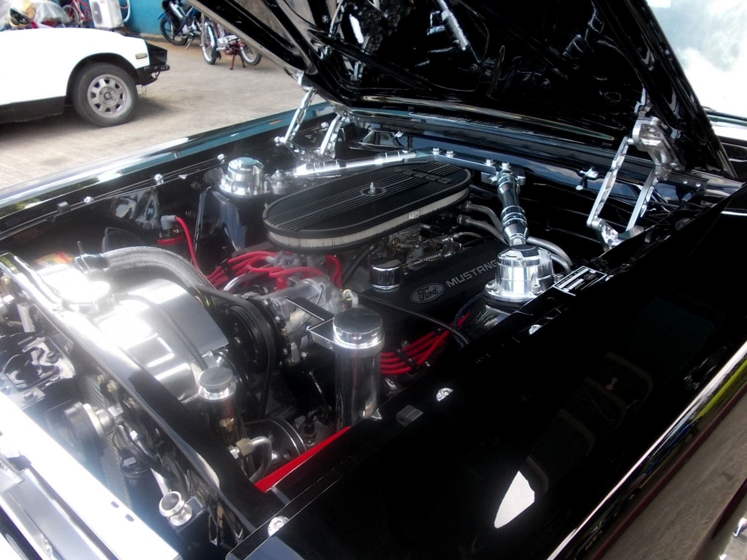 1966 Ford Fastback - mustangcow1 - Shannons Club