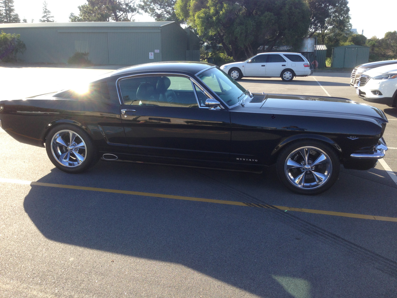 1966 Ford Fastback - mustangcow1 - Shannons Club