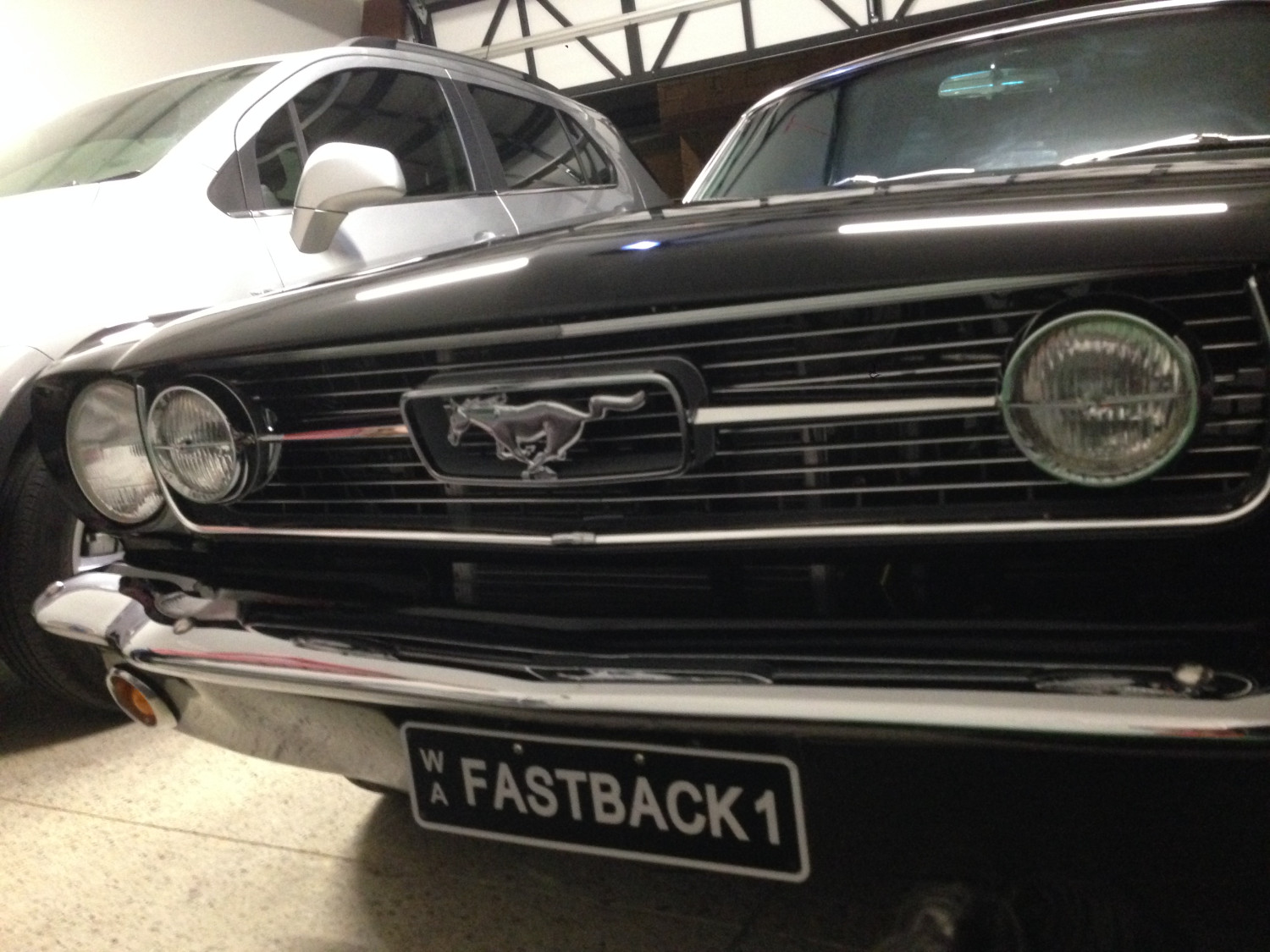 1966 Ford Fastback - mustangcow1 - Shannons Club