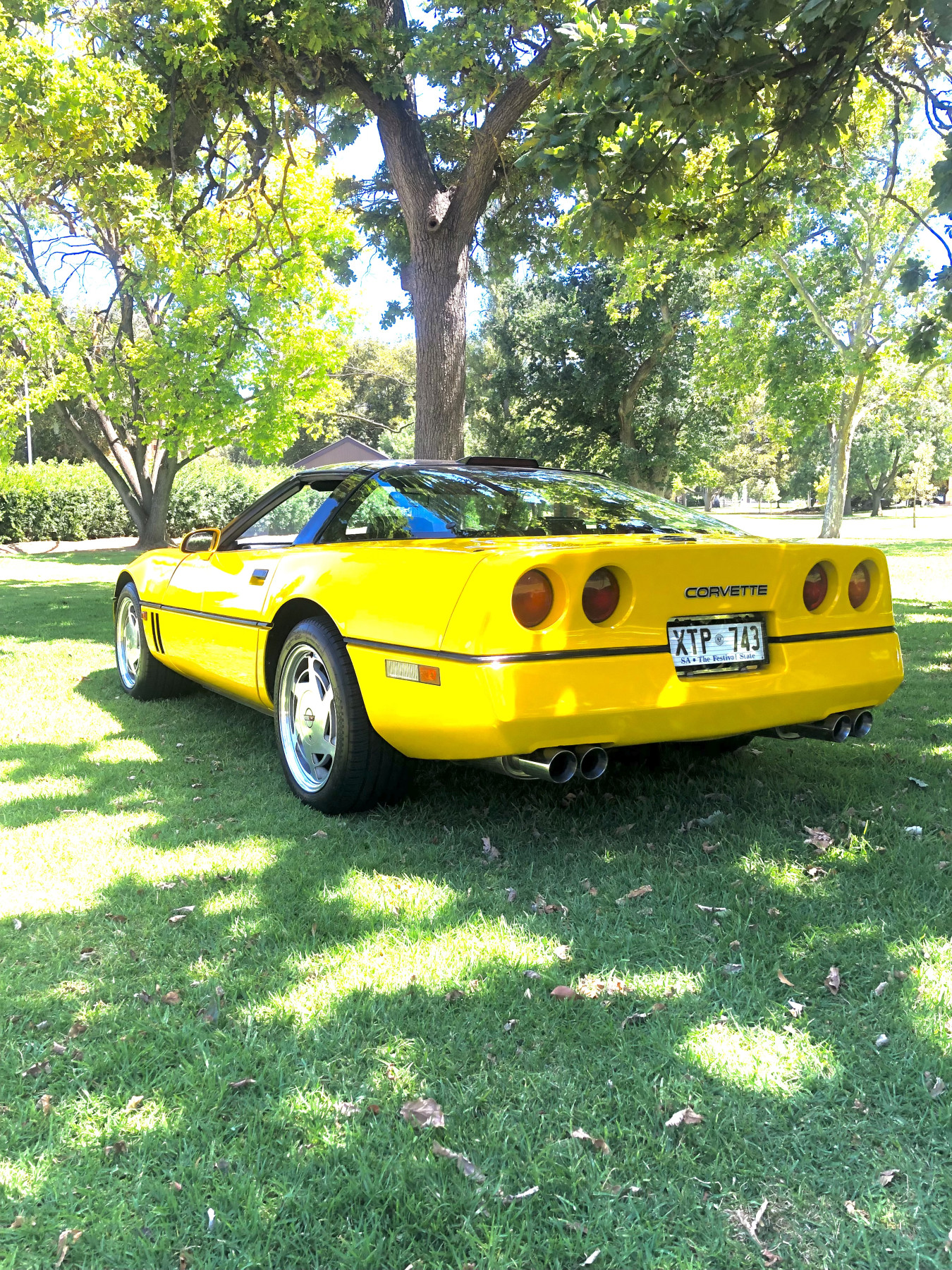 1988 Chevrolet C4-1988 - kamalbaroudi - Shannons Club