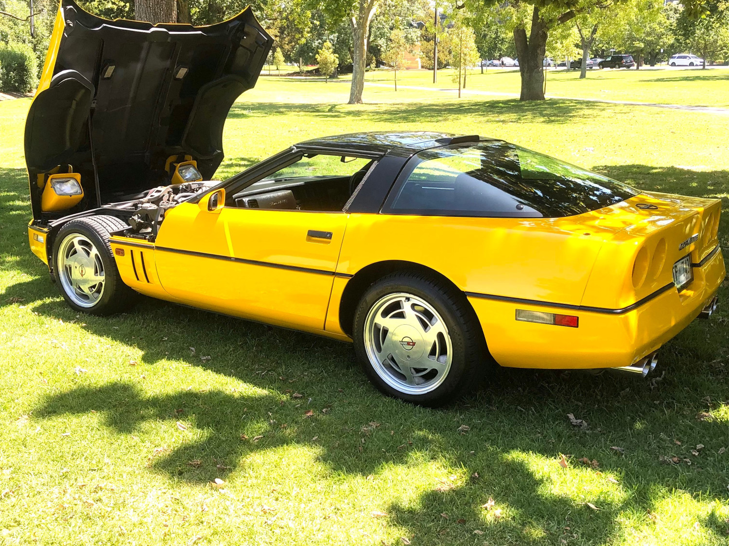 1988 Chevrolet C4-1988 | 2023 Shannons Club Online Show & Shine