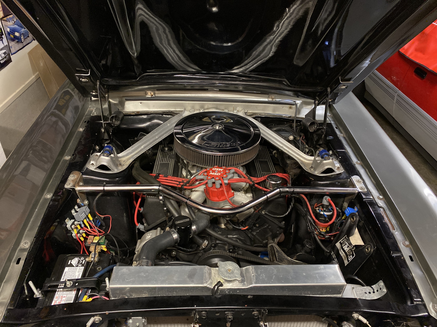1967 Ford MUSTANG - bennyg76 - Shannons Club