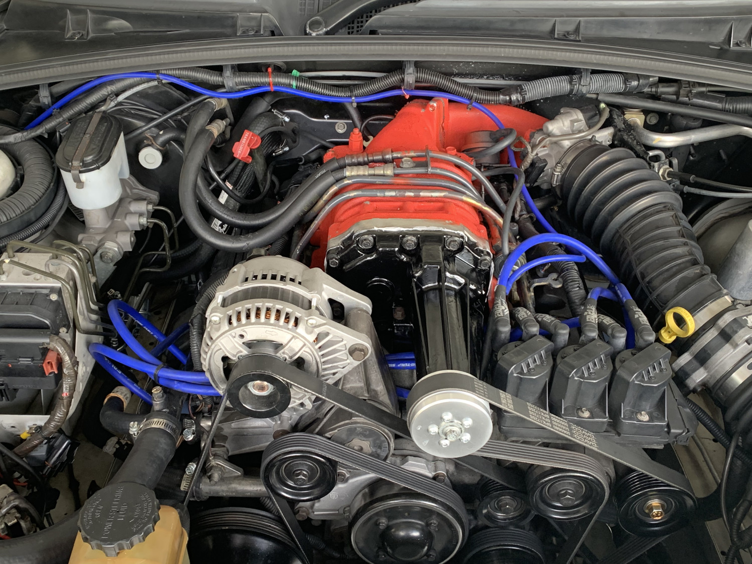 2002 Holden Vu | 2022 Shannons Club Online Show & Shine