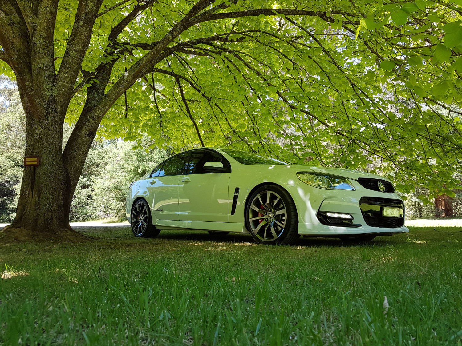 2017 Holden SSVR Redline Commodore - MikeJames - Shannons Club