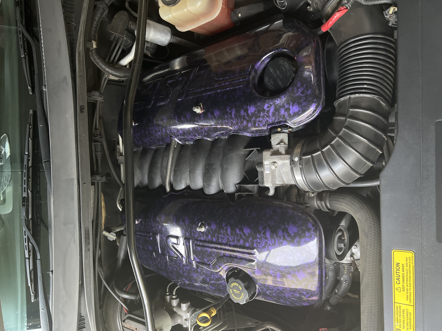 2004 Holden COMMODORE vy sv8 Ls1 - davidriches1976 - Shannons Club