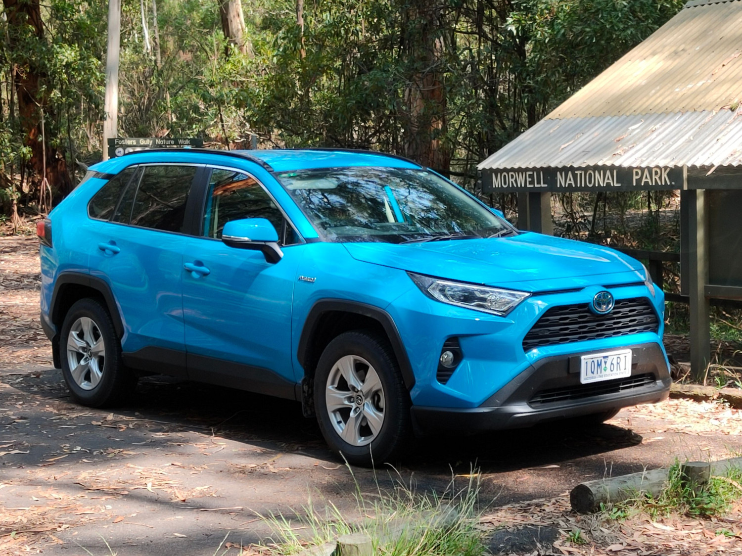 2019 Toyota RAV4 - Peeble99 - Shannons Club