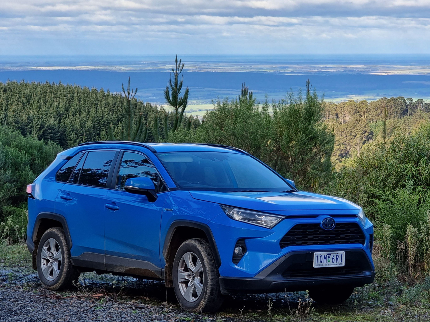 2019 Toyota RAV4 - Peeble99 - Shannons Club