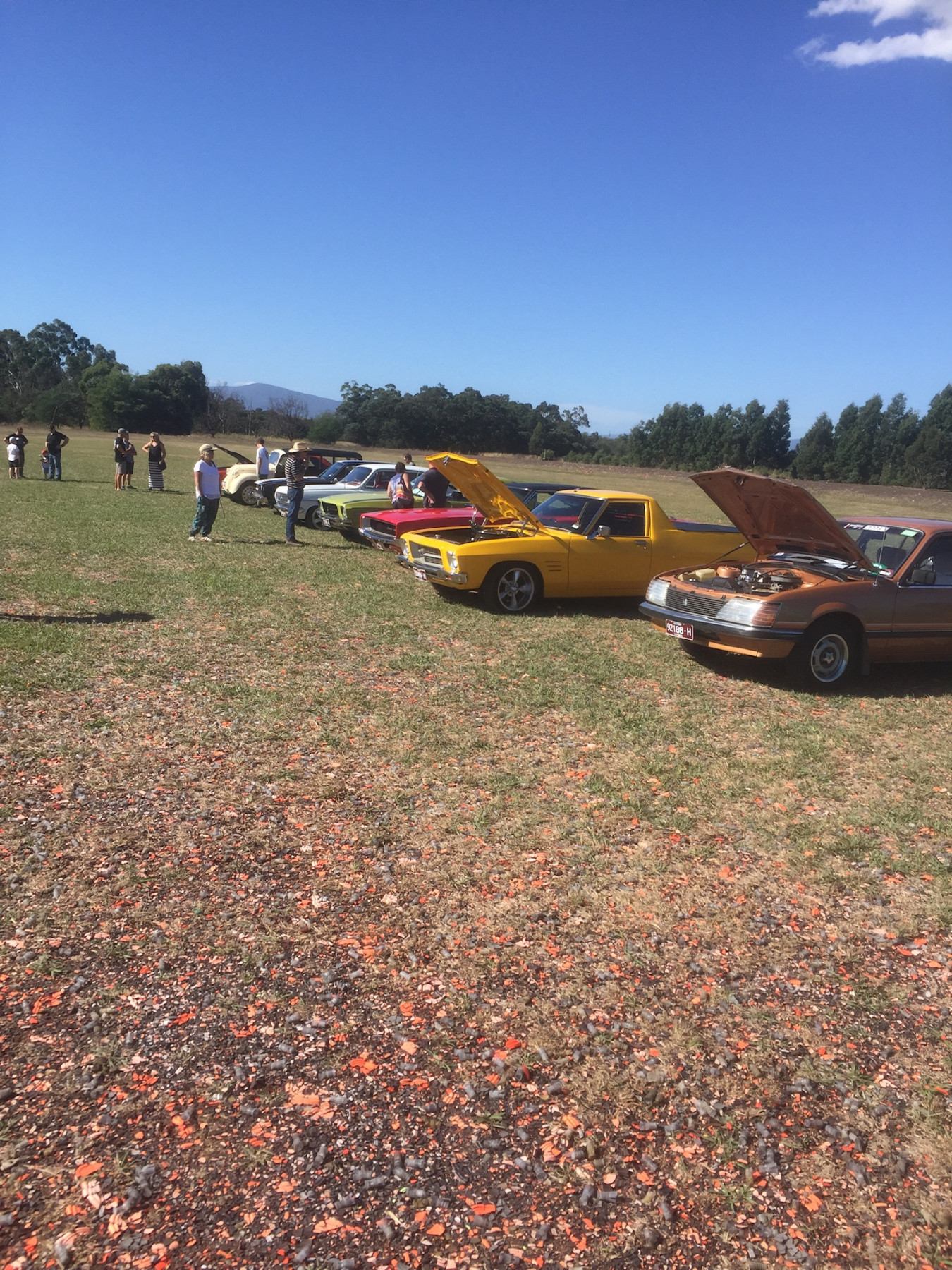 1972 Holden HQ - beaka - Shannons Club