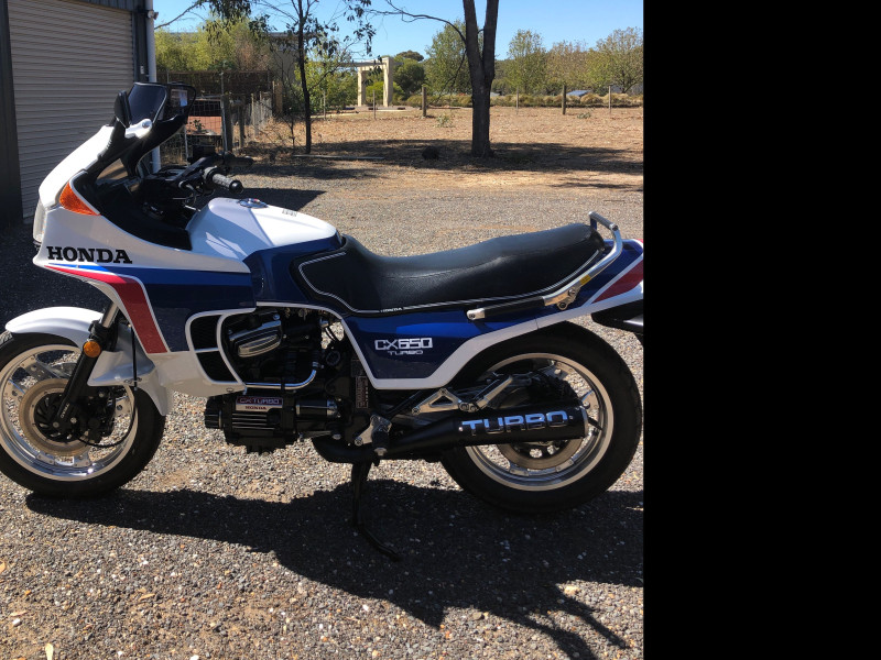 1983 Honda CX650 TURBO | 2022 Shannons Club Online Show & Shine