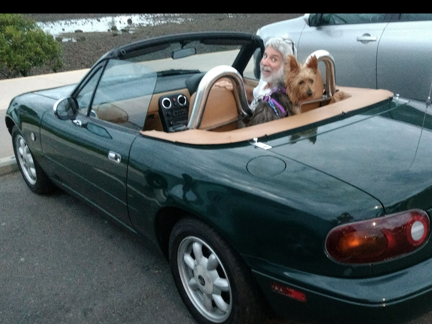 1990 Eunos Roadster V special - roaboat33 - Shannons Club