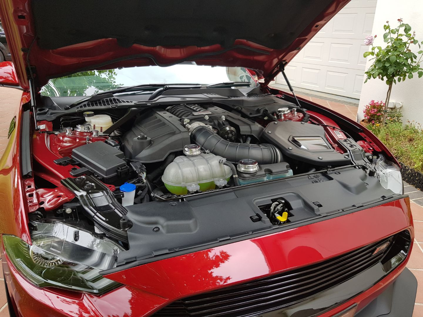 2020 Ford MUSTANG | 2021 Shannons Club Online Show & Shine