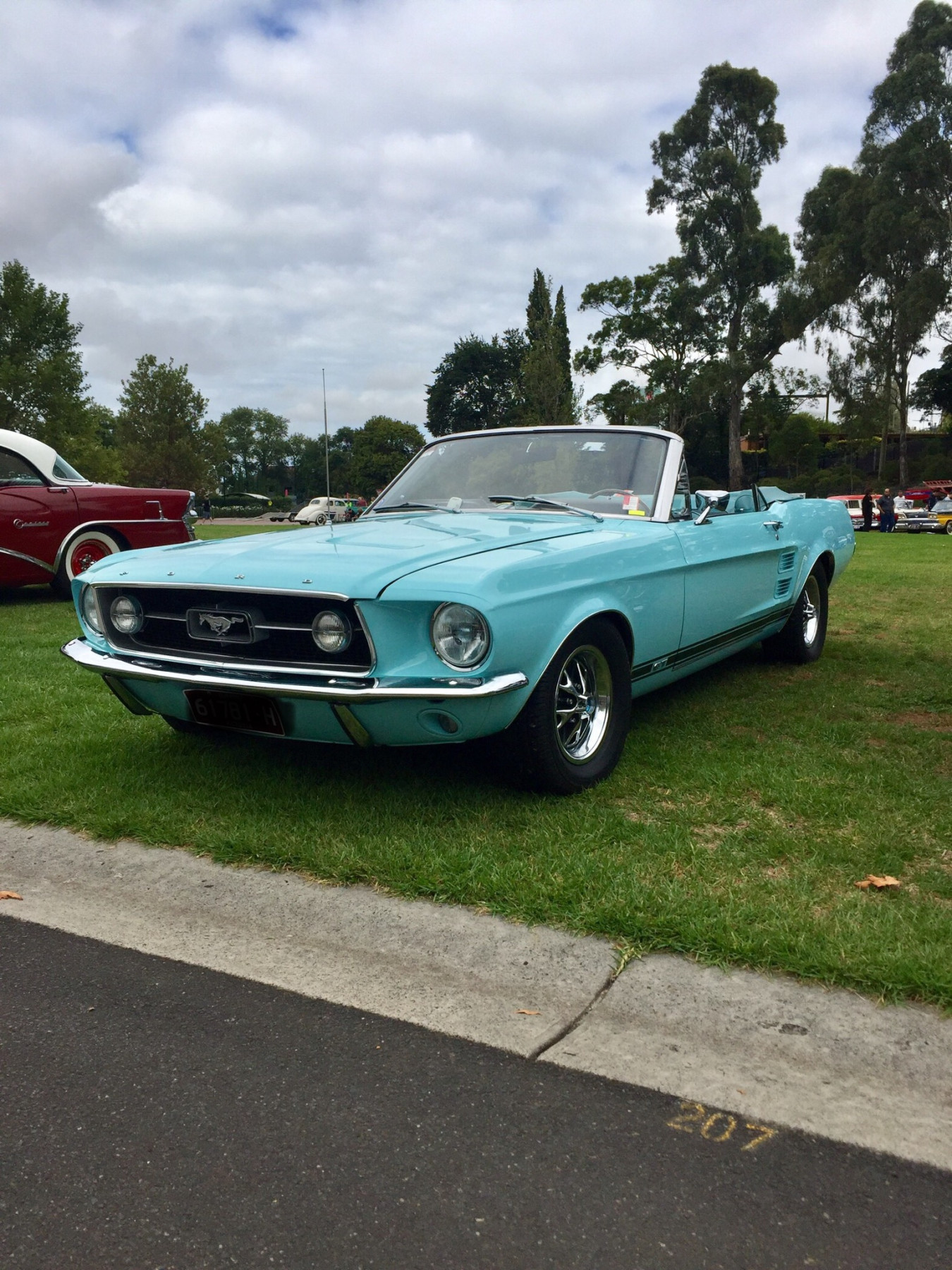 1967 Ford MUSTANG - Cullenmw - Shannons Club