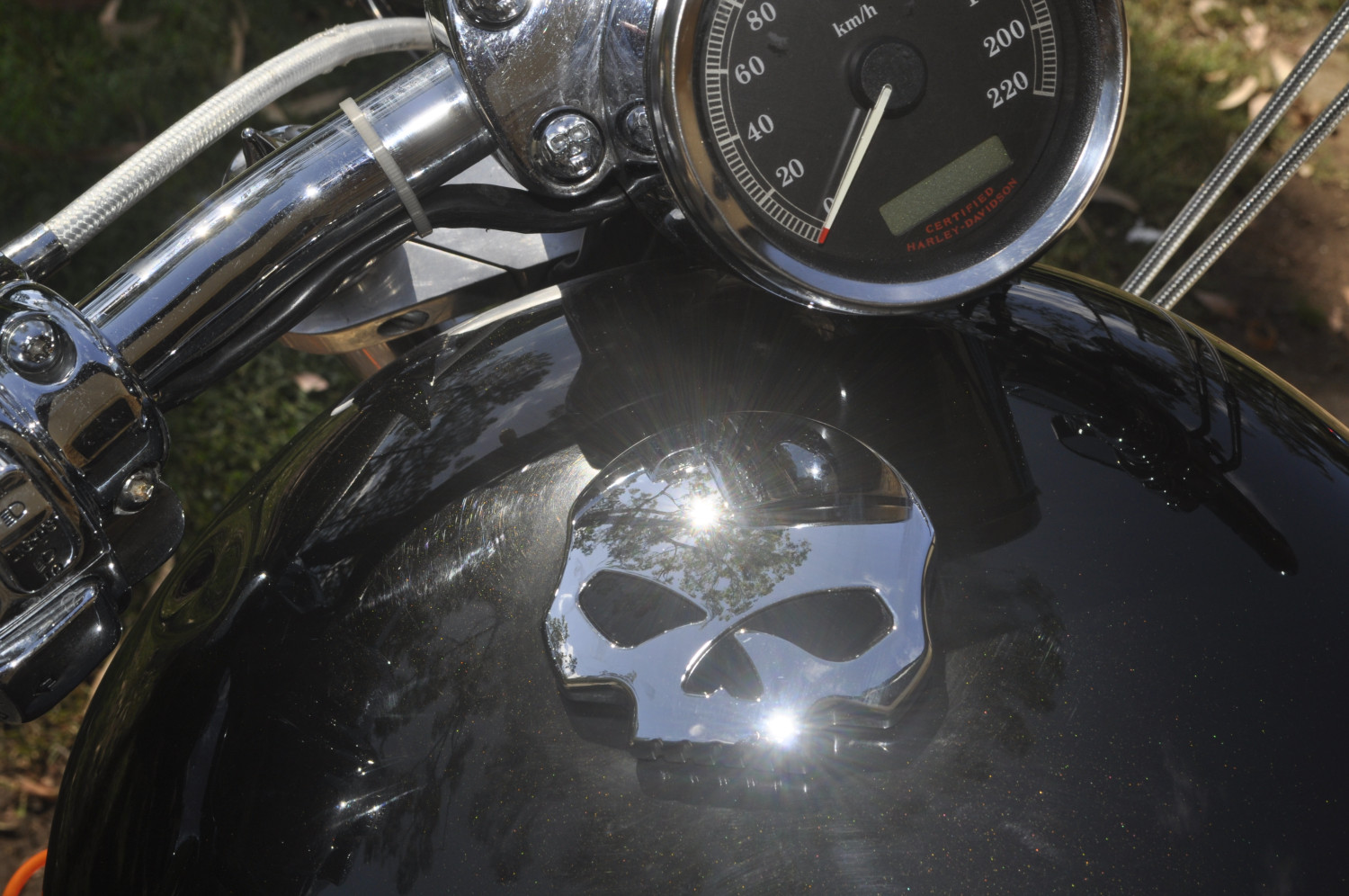 2006 Harley-Davidson xlh sporster 1200 custom - warlock - Shannons Club