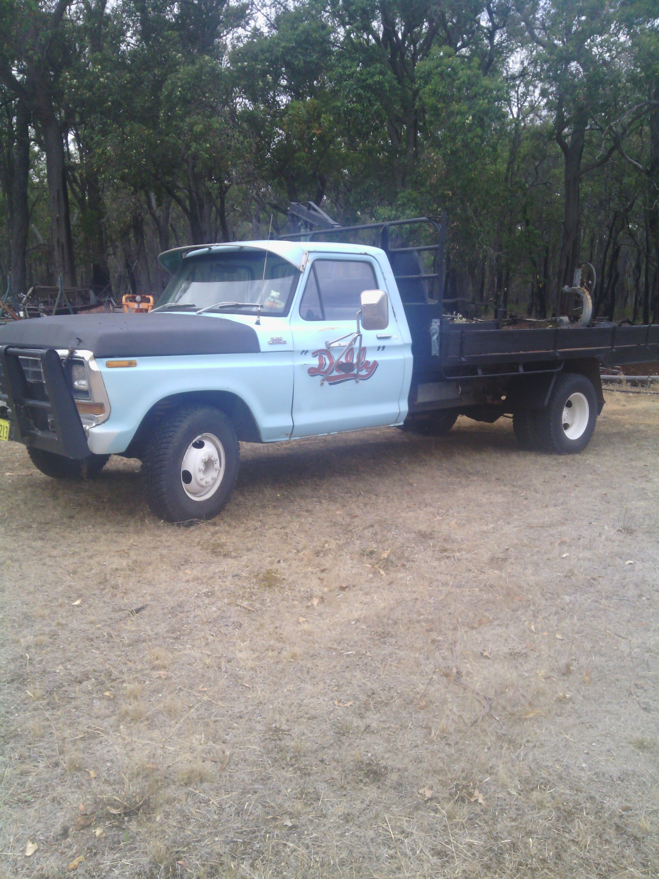 1979 Ford 350 - Dolly351 - Shannons Club