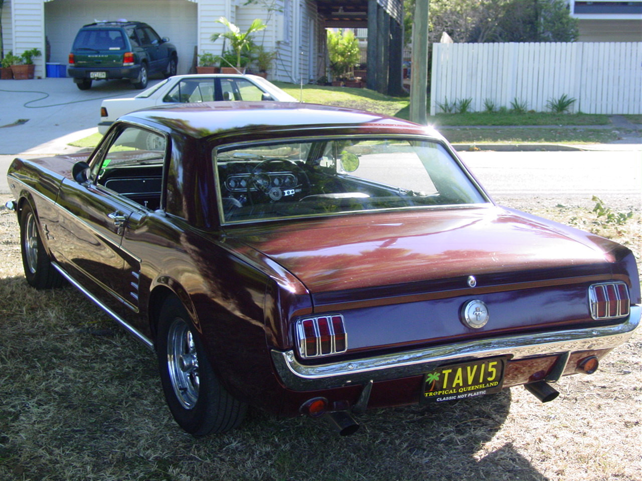 1966 Ford MUSTANG - Tavis - Shannons Club