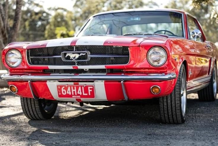 1964 Ford MUSTANG - shinerfamily - Shannons Club