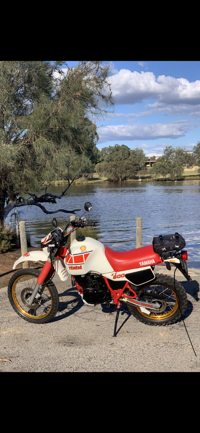 1983 Yamaha 595cc XT600Z (TENERE) | 2023 Shannons Club Online Show & Shine