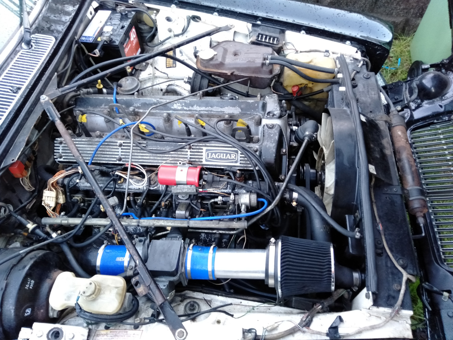 1985 Jaguar XJ6 4.2 series III - rmules2018 - Shannons Club