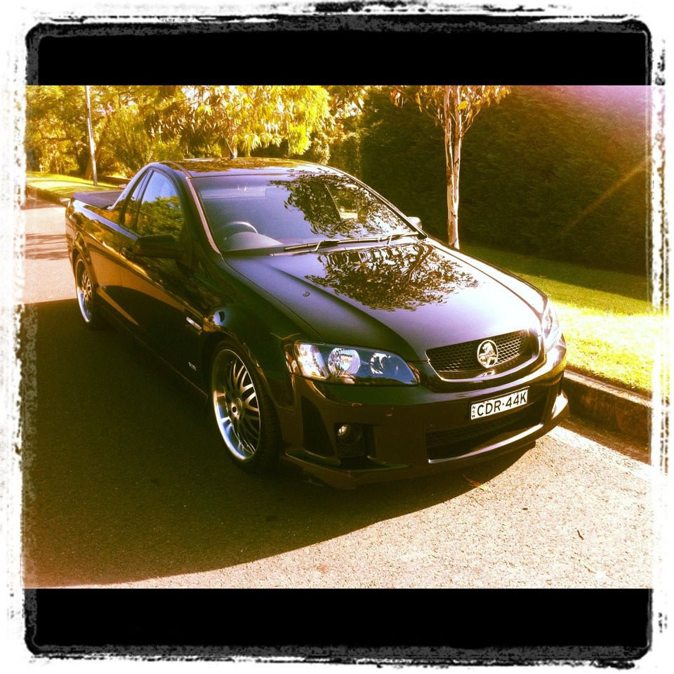 2008 Holden COMMODORE - NWalters - Shannons Club