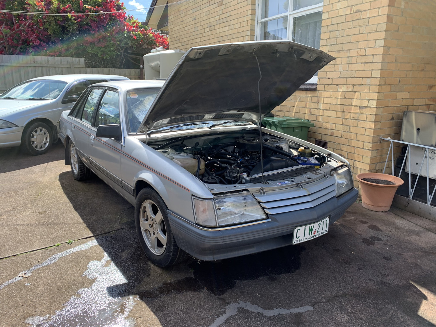 1985 Holden Commodore - BillyS - Shannons Club
