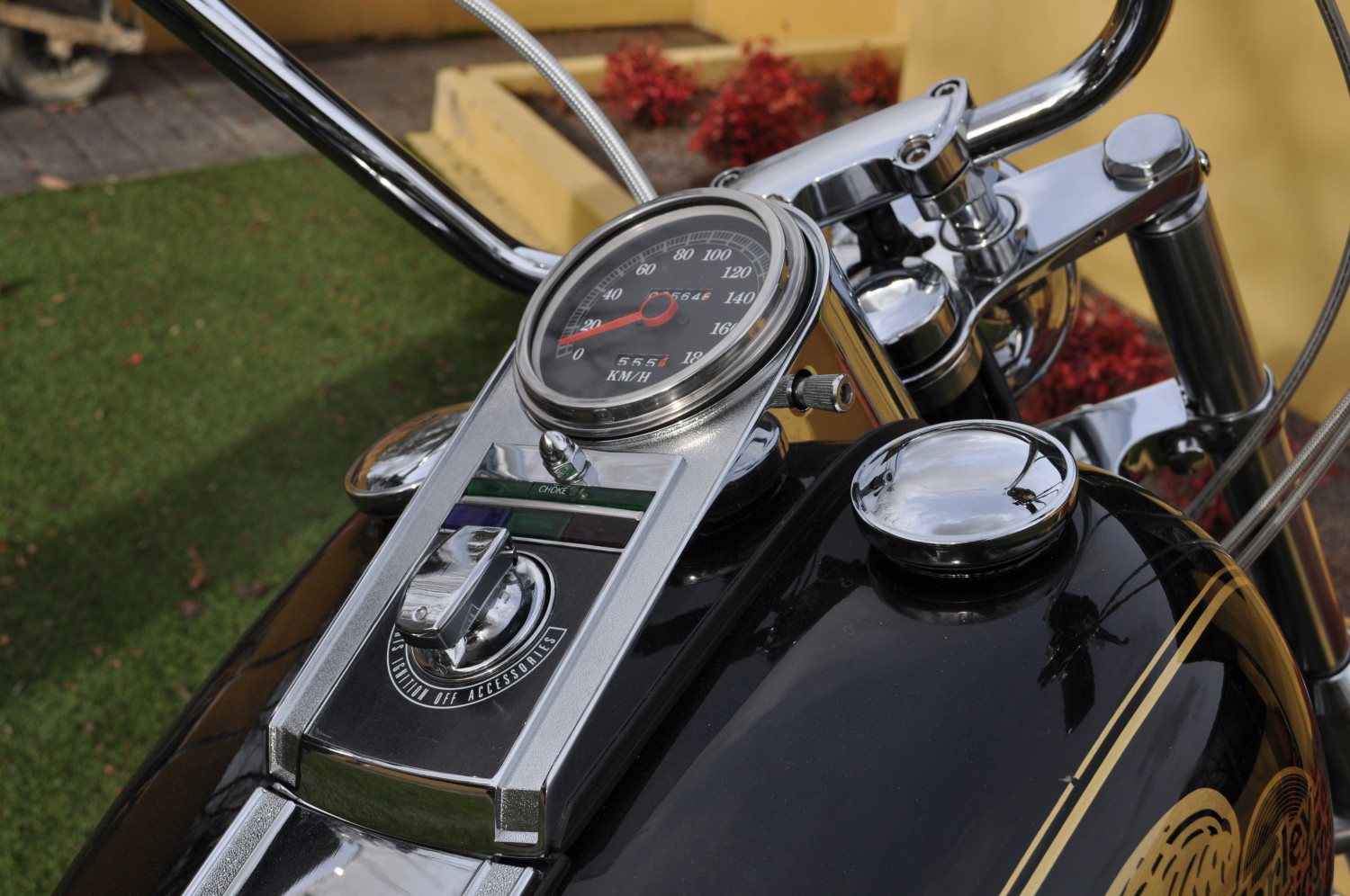 1985 Harley-Davidson Softail | 2020 Shannons Club Online Show & Shine