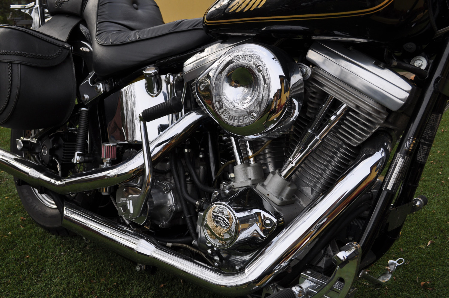 1985 Harley-Davidson Softail | 2020 Shannons Club Online Show & Shine