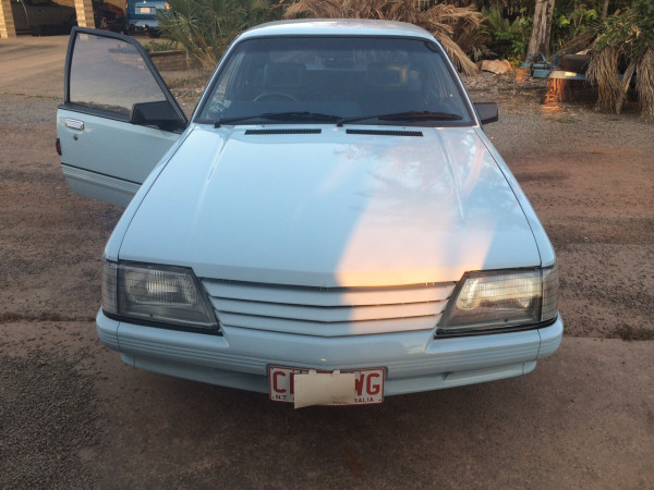 1984 Holden COMMODORE - Paulntash - Shannons Club