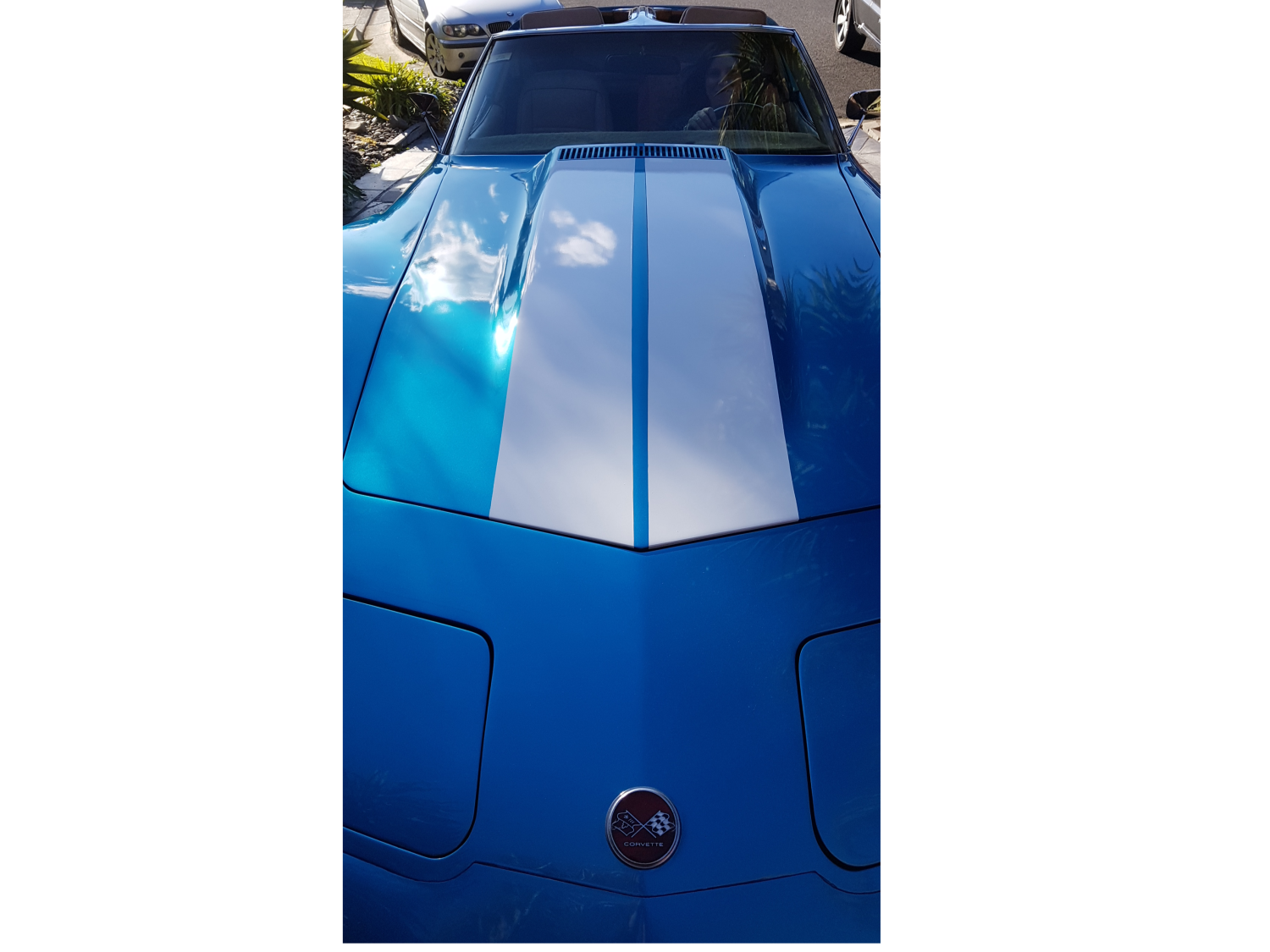 1976 Chevrolet CORVETTE STINGRAY - Blue76Vette - Shannons Club