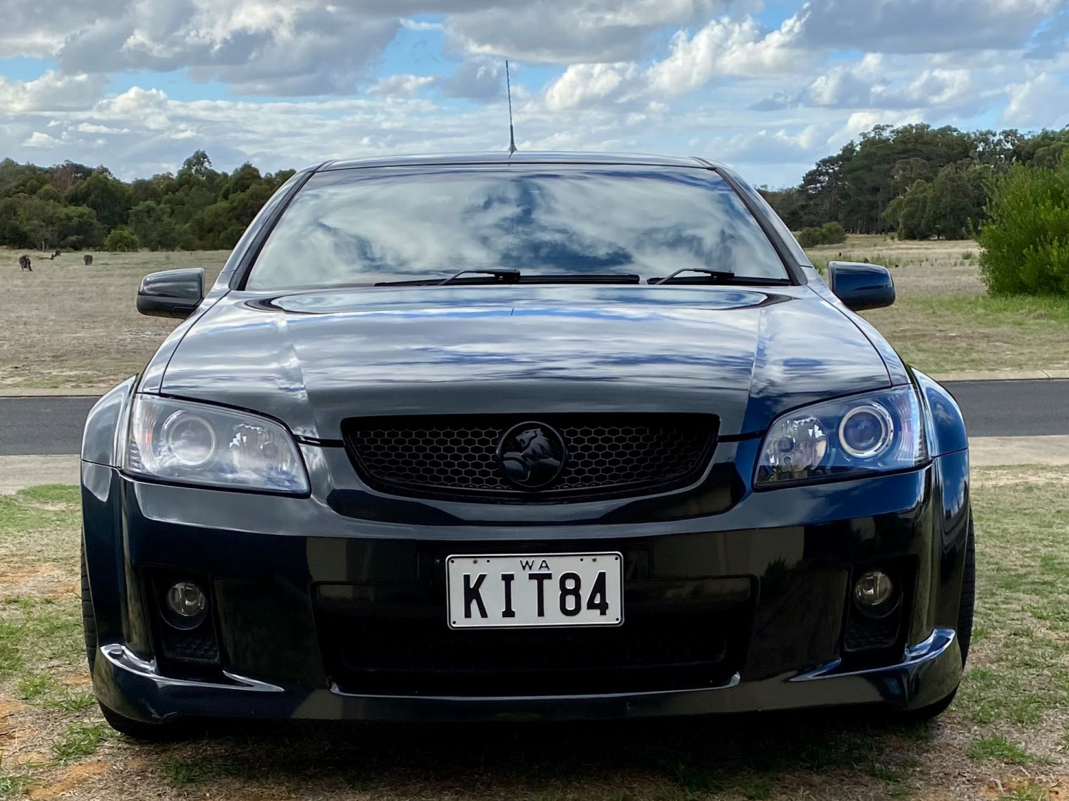 2008 Holden COMMODORE - VikingL98lover - Shannons Club