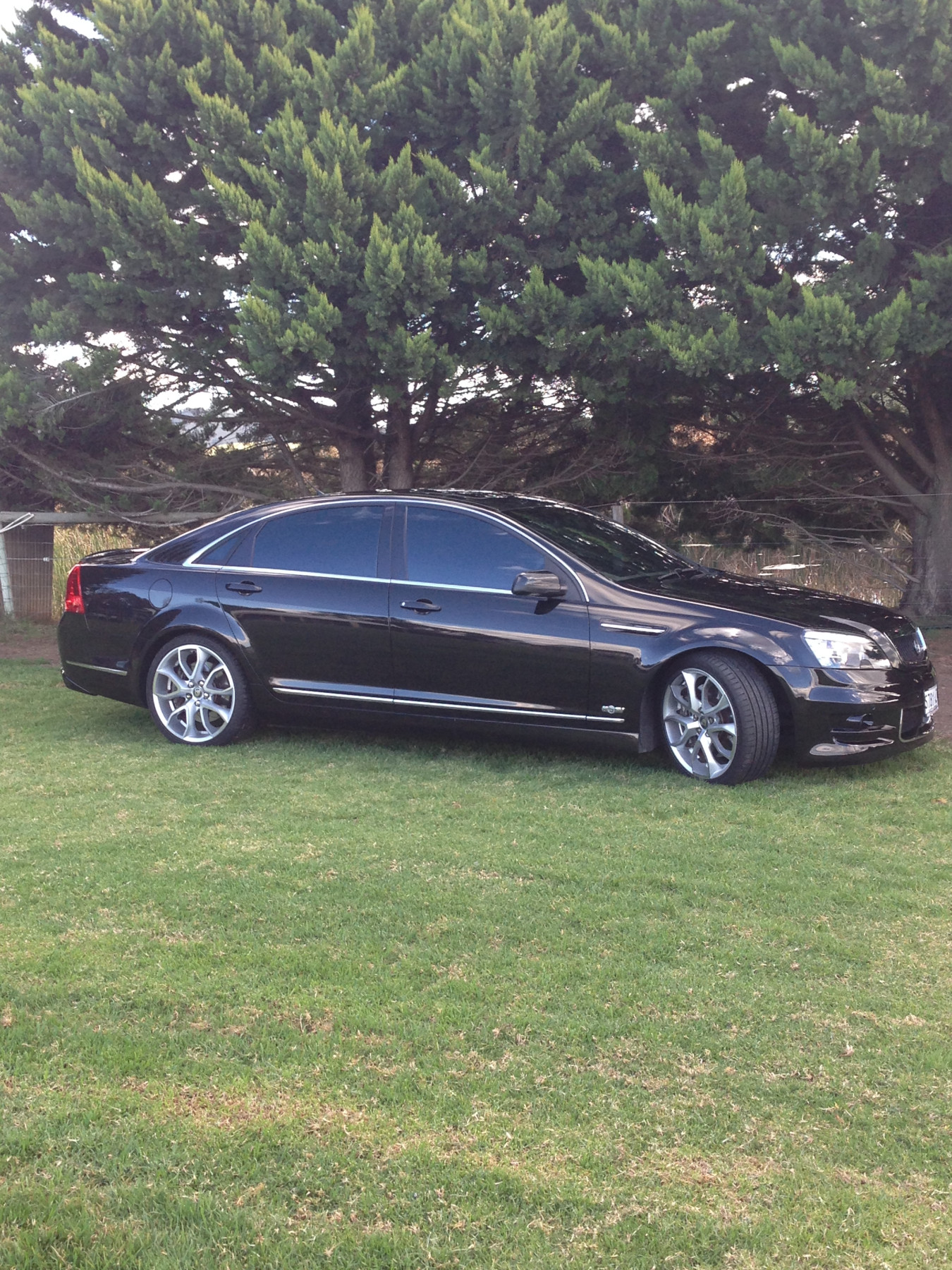 2008 Holden HSV Grange - Corvette35th - Shannons Club