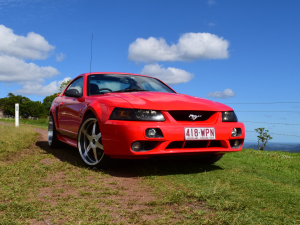 2001 Ford Mustang - samsonfidler - Shannons Club