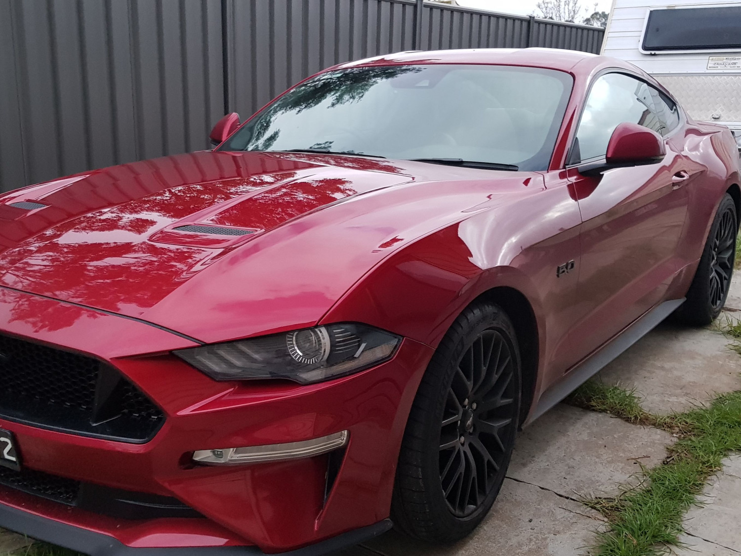 2019 Ford MUSTANG - forte_daniel - Shannons Club