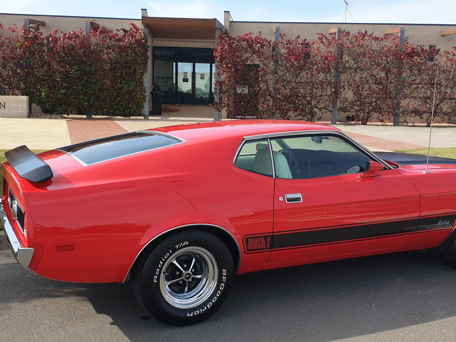 1973 Ford MUSTANG - robster01 - Shannons Club