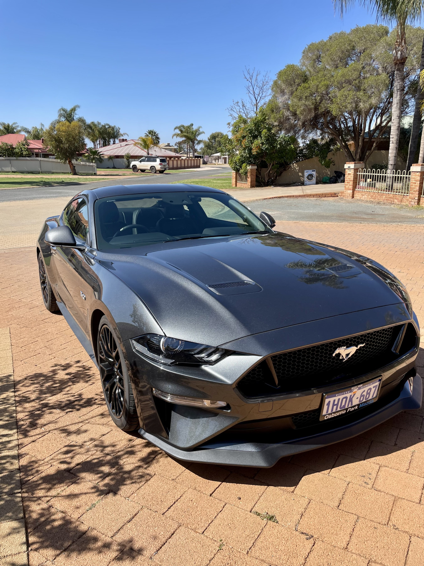 2020 Ford MUSTANG - ReeceHili - Shannons Club