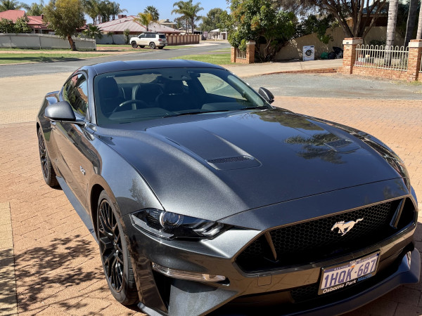 2020 Ford MUSTANG - ReeceHili - Shannons Club