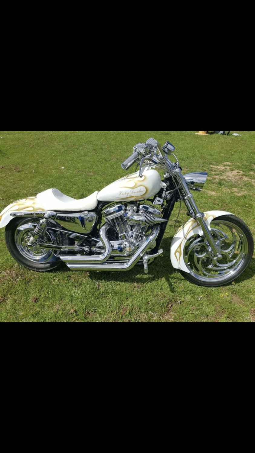 2004 Harley-Davidson 1199cc XL1200C SPORTSTER CUSTOM | 2020 Shannons ...