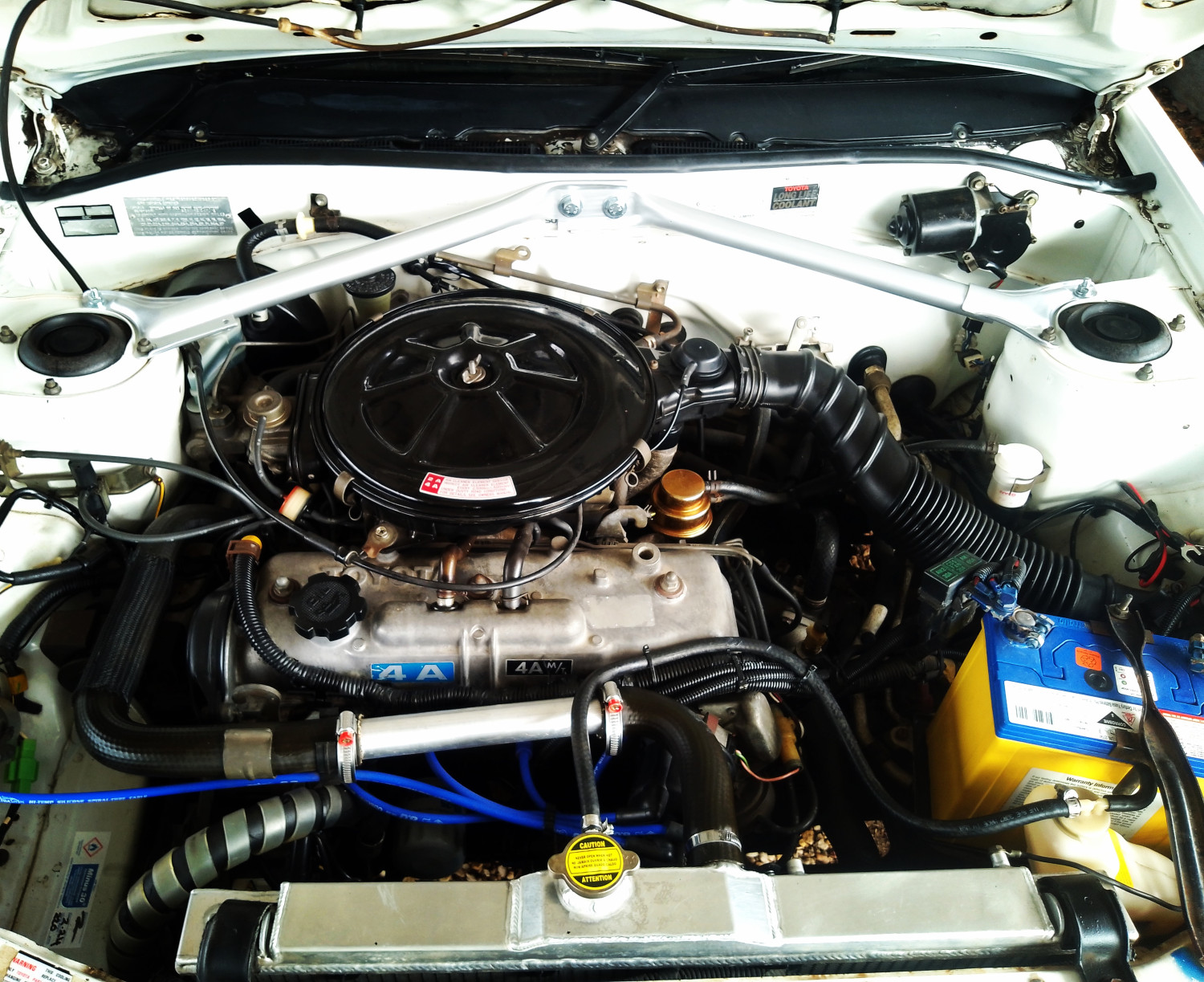 Photo by rollyae82 - Shannons Club