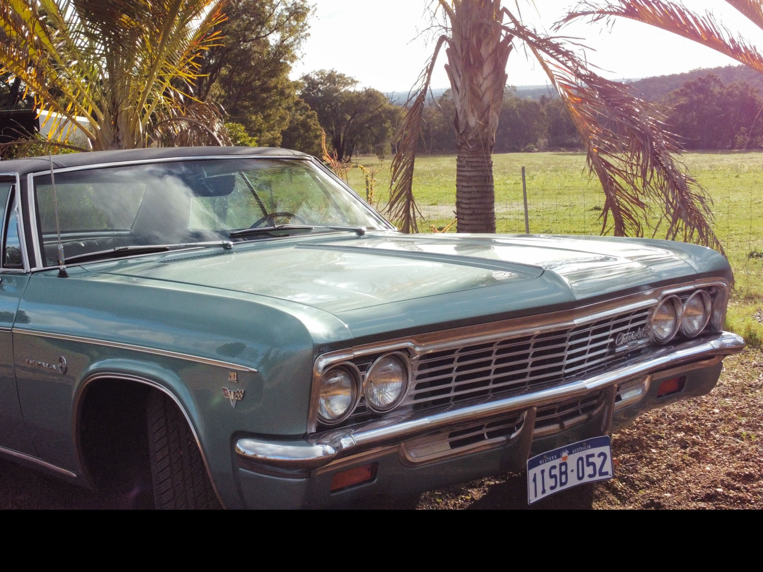 1966 Chevrolet IMPALA - shayne_andrijich - Shannons Club