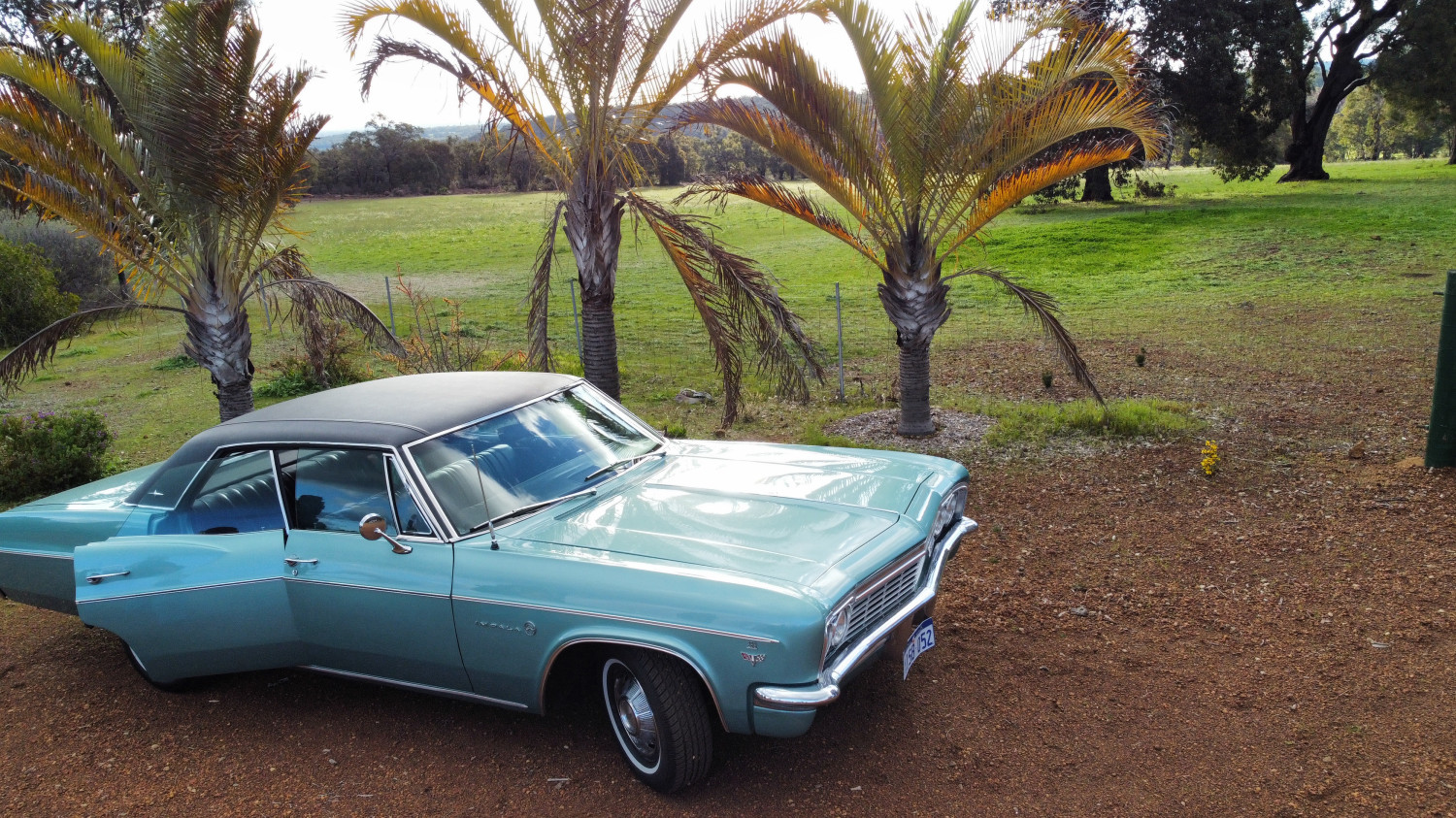 1966 Chevrolet IMPALA - shayne_andrijich - Shannons Club