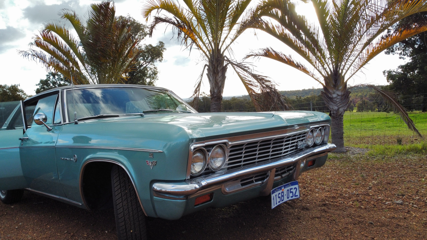 1966 Chevrolet IMPALA - shayne_andrijich - Shannons Club