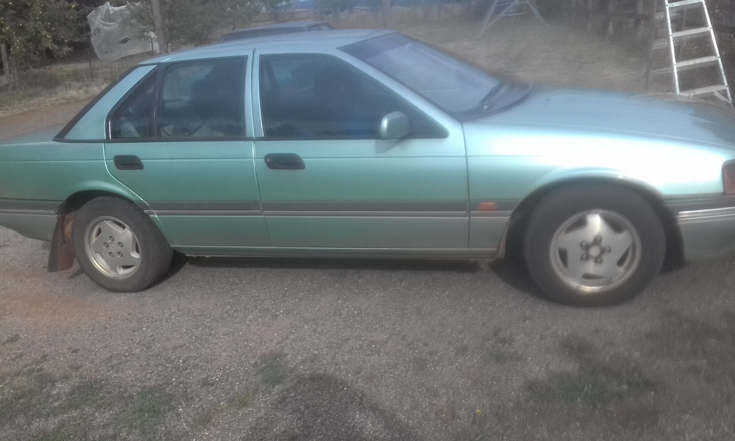 1991 Ford Fairmont EB - mollyt - Shannons Club