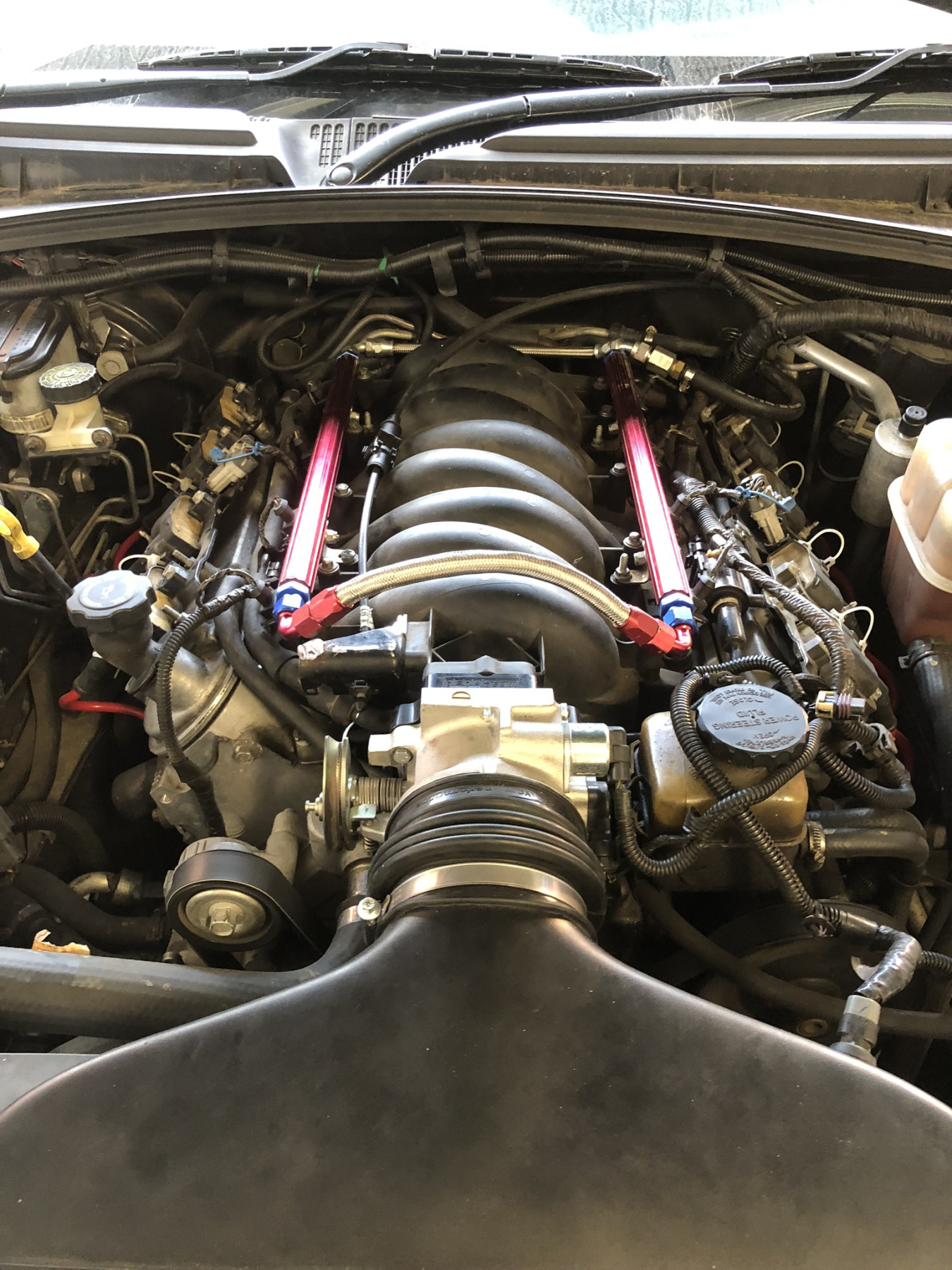 2002 Holden COMMODORE - elliot_cros - Shannons Club