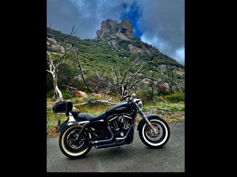 2013 Harley-Davidson 1199cc XL1200C SPORTSTER CUSTOM | 2020 Shannons ...