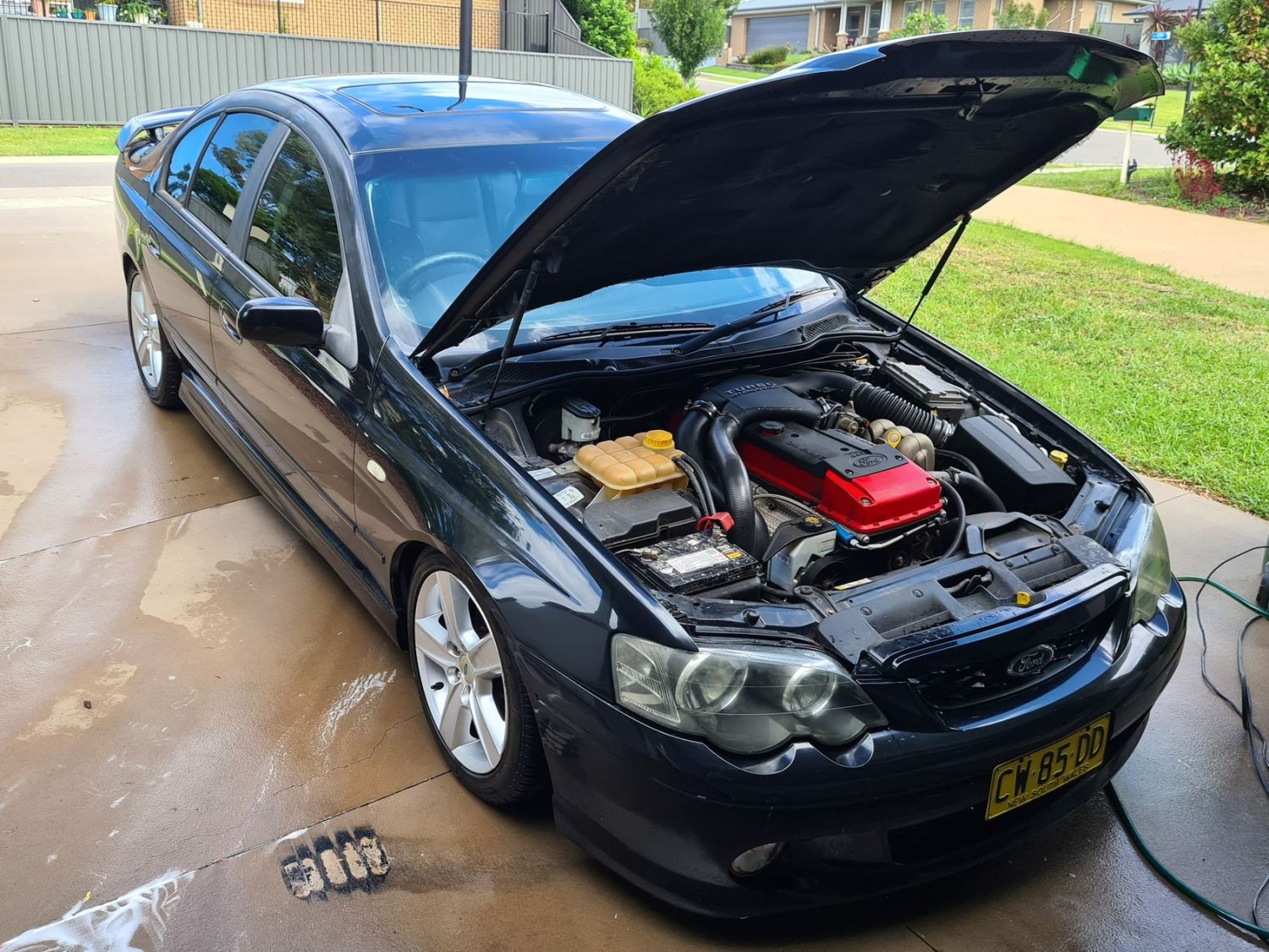 2002 Ford FALCON - Rob260 - Shannons Club