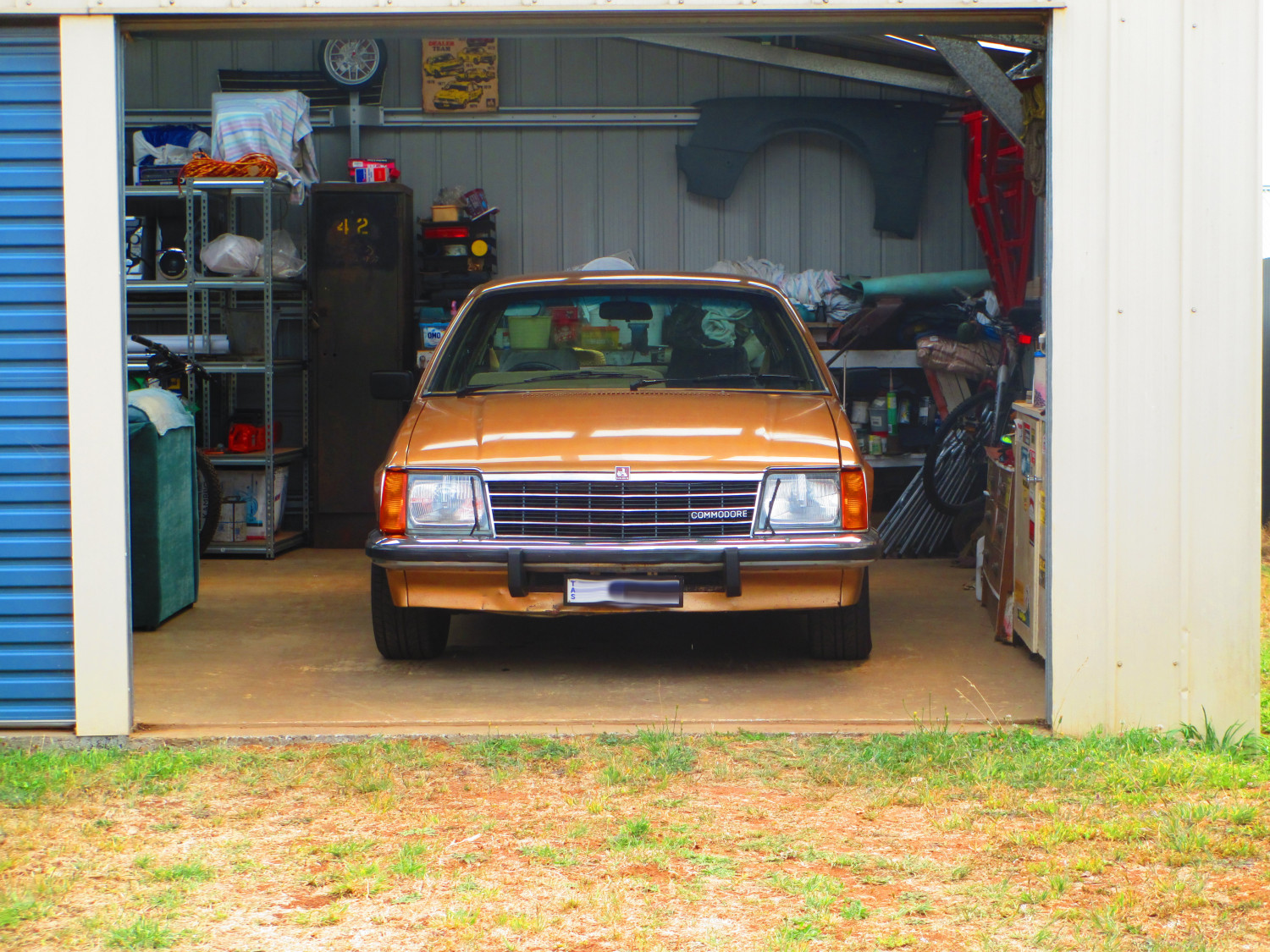 1979 Holden COMMODORE - SLENUT - Shannons Club