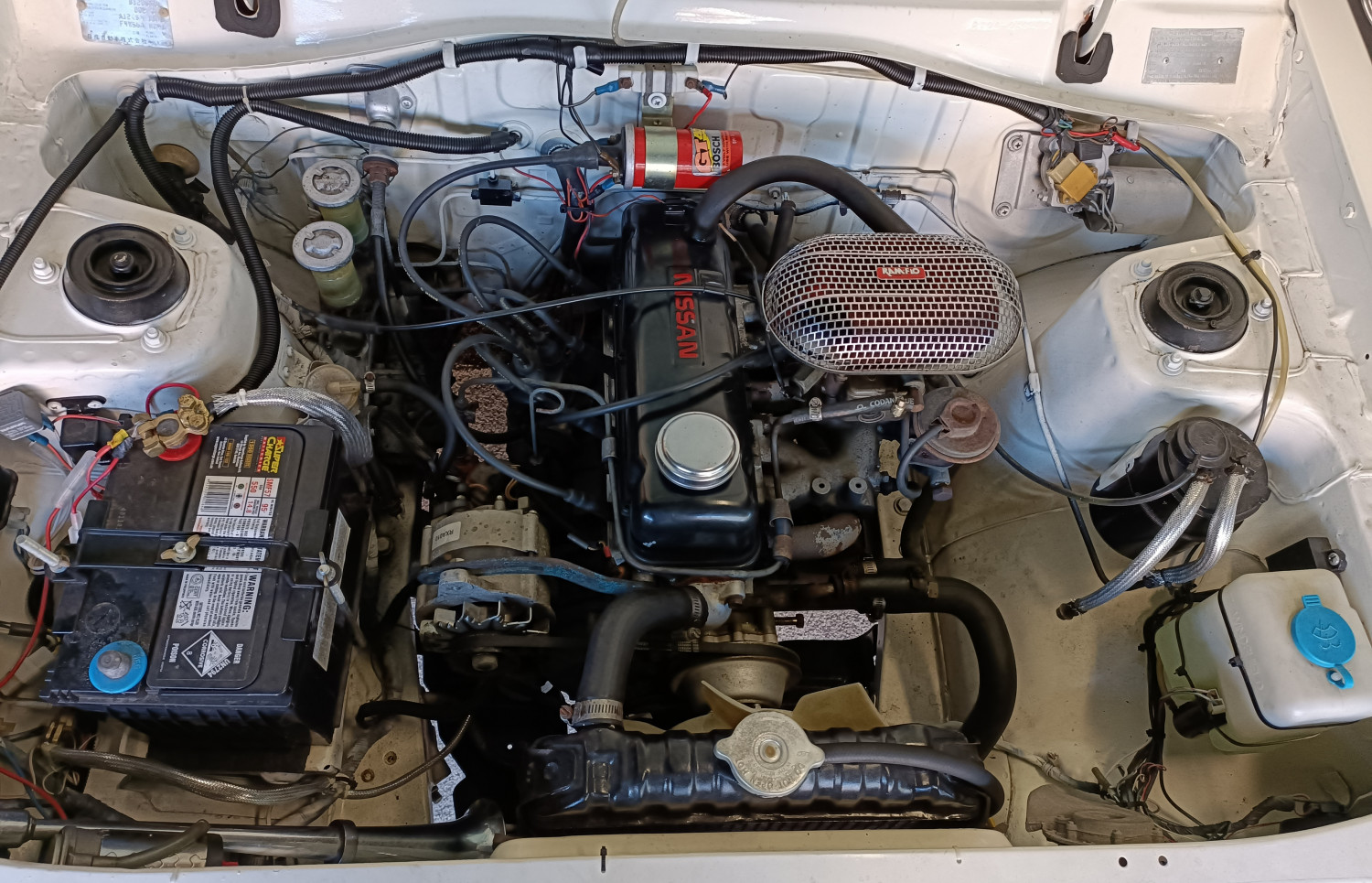 Photo by Sonya4 - Shannons Club