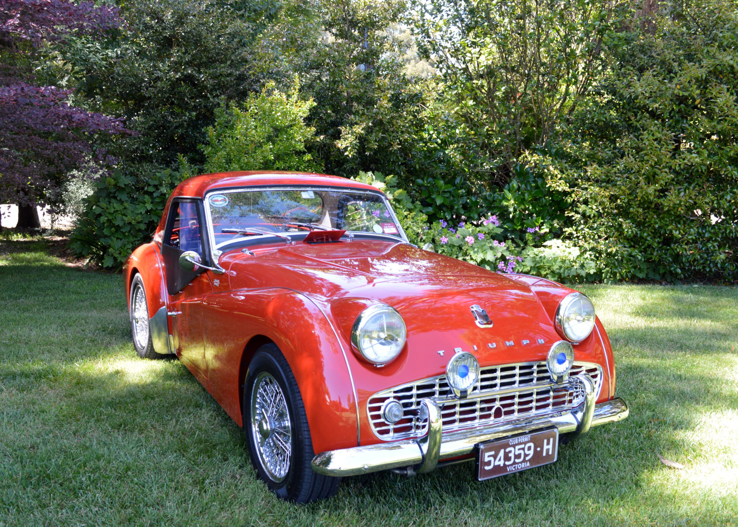 1958 Triumph TR 3A | 2021 Shannons Club Online Show & Shine
