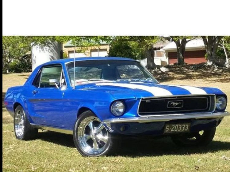 1968 Ford MUSTANG - tyapted - Shannons Club